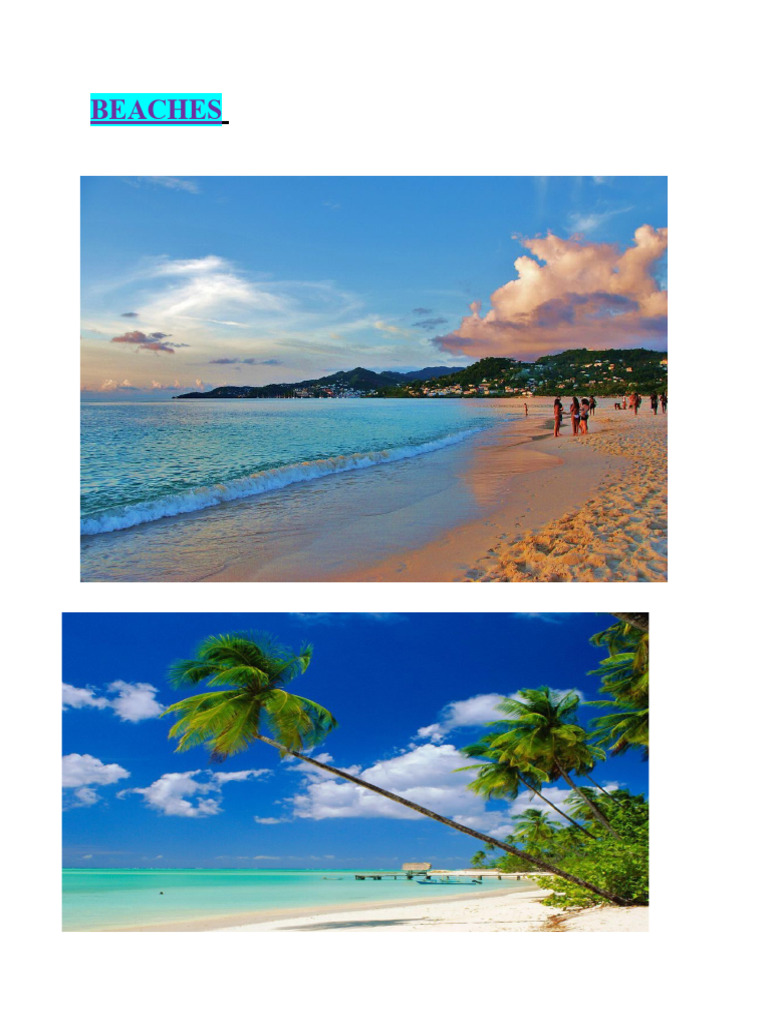Beaches Reasearch | PDF
