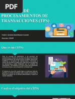 Sistema de Procesamiento de Transacciones | PDF | Bases de datos | Software