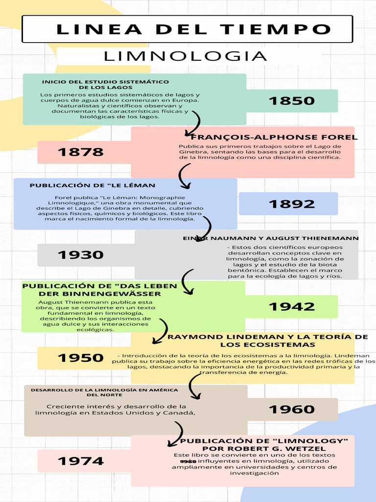 Infografia Linea Del Tiempo Timeline Historia Cronologia Empresa Profesional Multicolor | PDF
