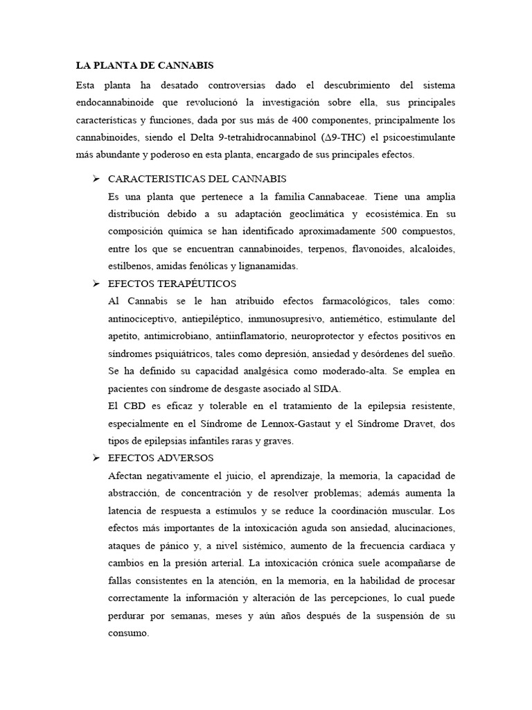 La Planta De Cannabis Pdf Cannabis Droga Tetrahidrocannabinol