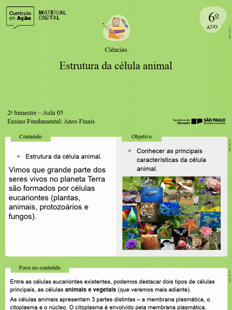 Estrutura Da Celula Animal | PDF