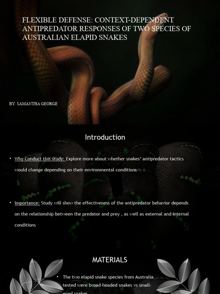 Research Presentation Snakes | Download Free PDF | Predation | Snake