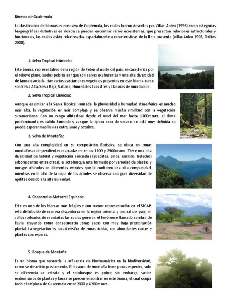 Biomas de Guatemala | PDF