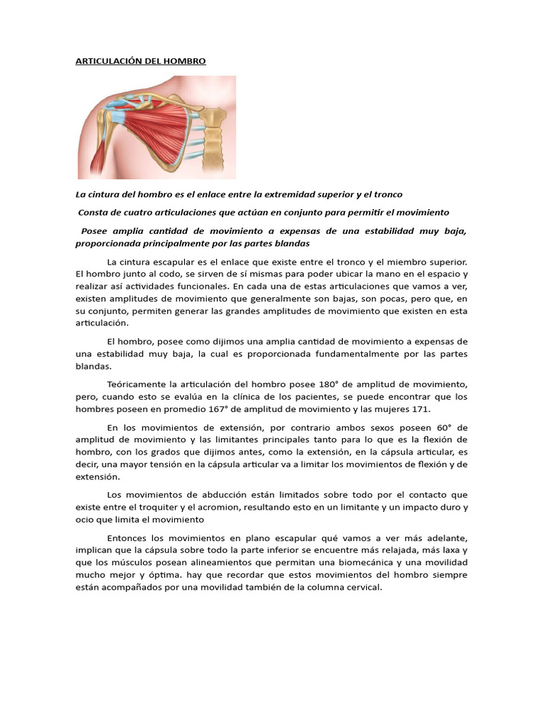 Resumen ARTICULACIÓN DEL HOMBRO | PDF | Hombro | Articulación