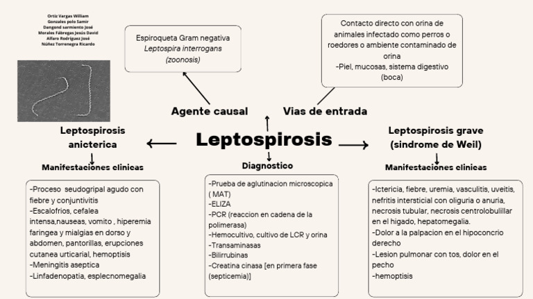 Mapa - Micro | PDF | Enfermedades y trastornos | Especialidades Medicas
