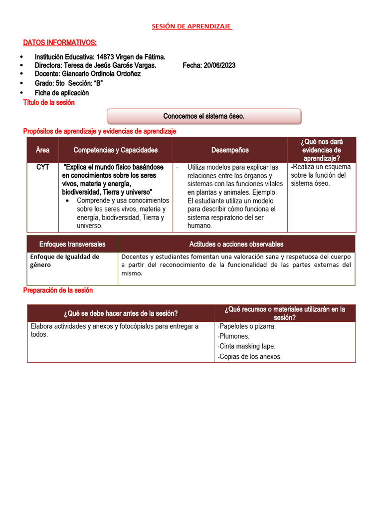 Sesión De Aprendizaje Conocemos El Sistema óseo Descargar Gratis Pdf