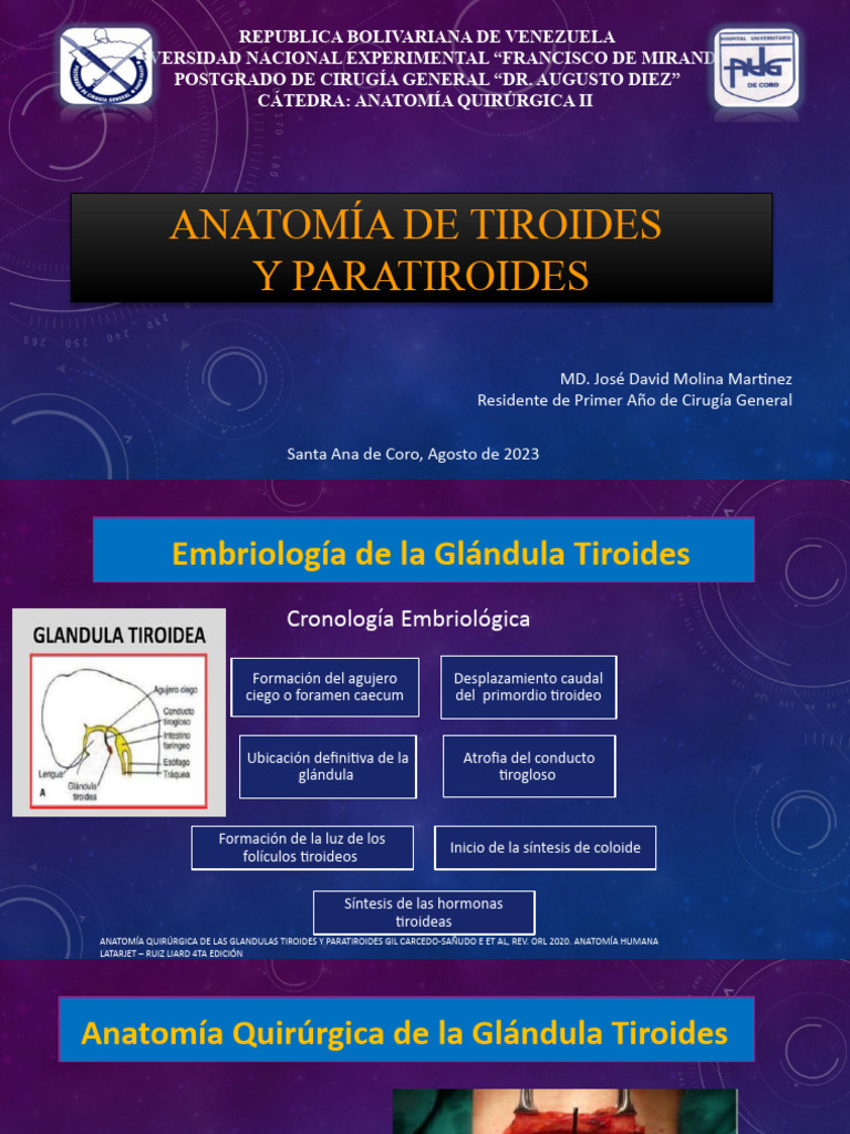 Tiroides | Descargar gratis PDF | Tiroides | Glándula paratiroidea