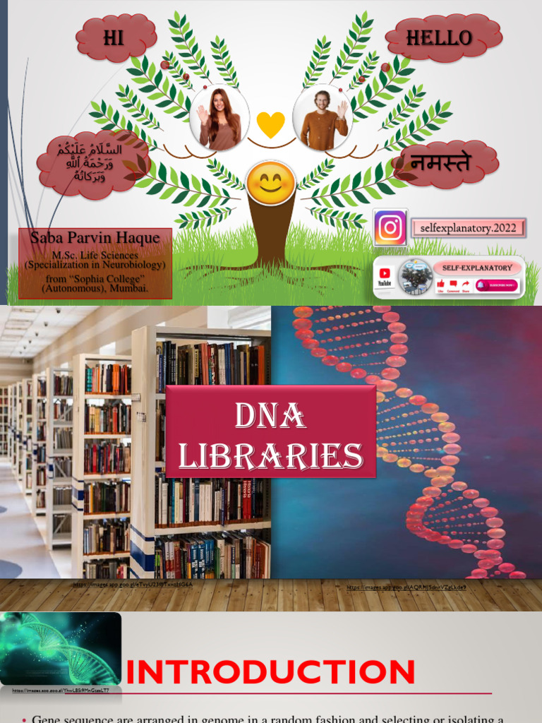 DNA Libraries / Genomic DNA Vs cDNA | PDF | Complementary Dna ...