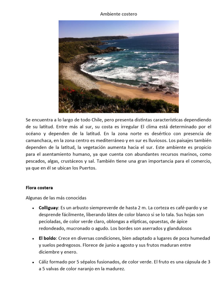 Características del Ambiente Costero en Chile | PDF
