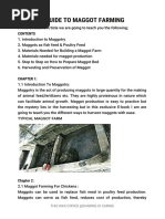 Starting Your Maggot Farm in Nigeria | PDF | Fly | Agriculture