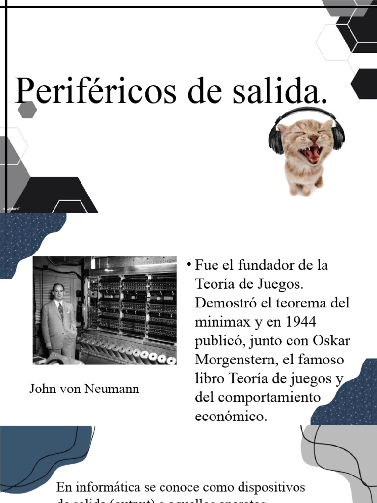 Dispositivos de Salida: Tipos y Evolución | PDF | Periférico | Hardware ...