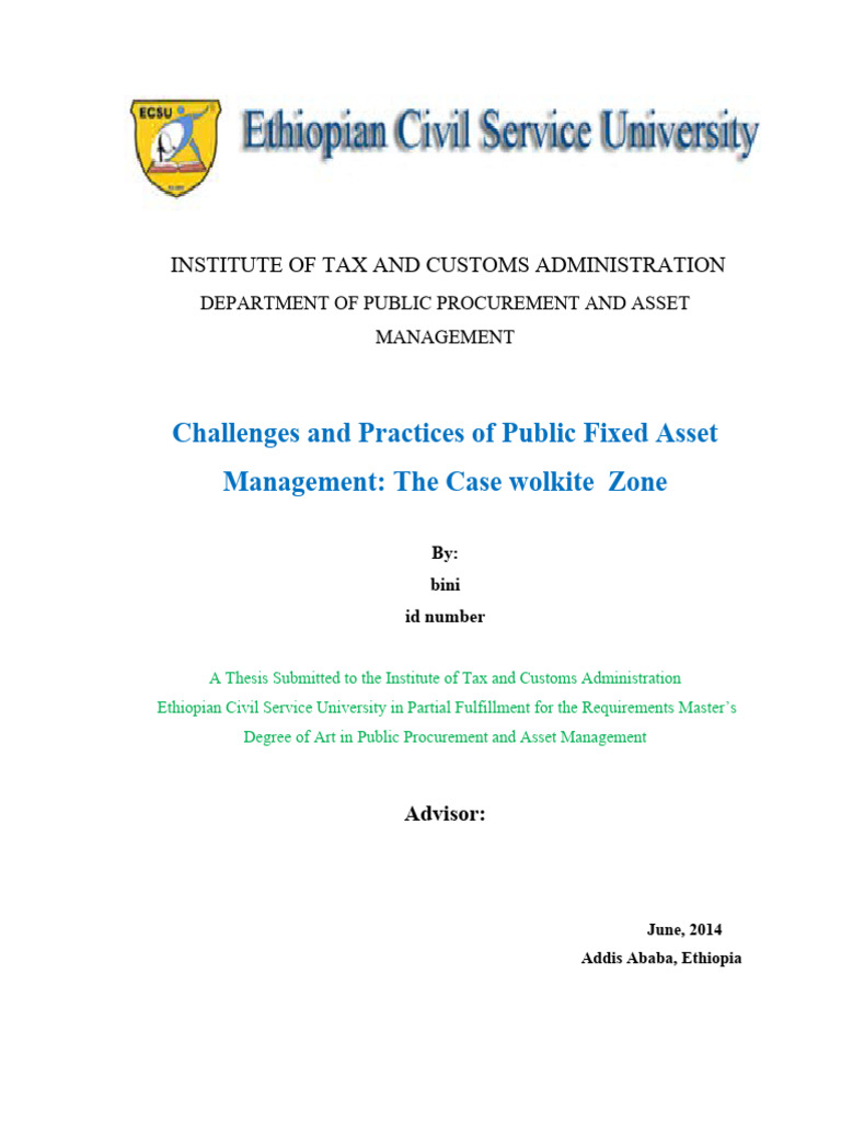 Public Fixed Asset Management Challenges | PDF | Asset Management | Mergers And Acquisitions