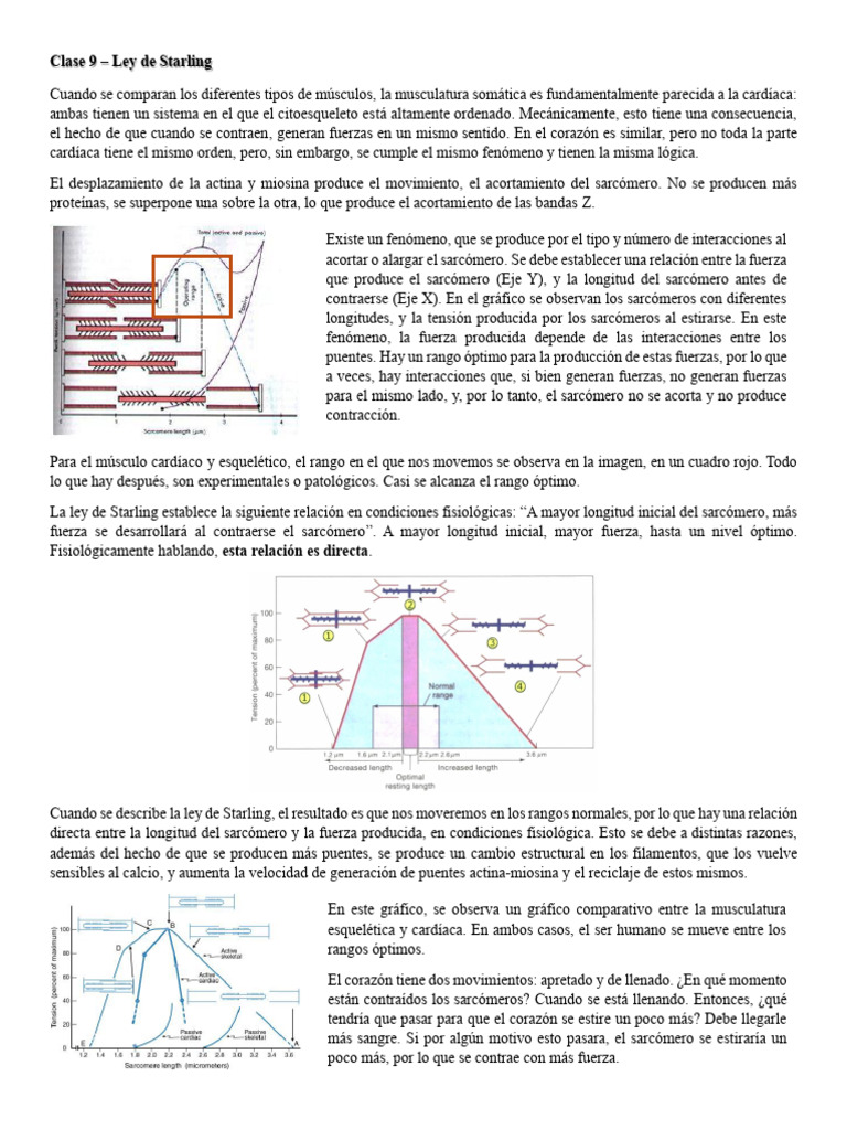 Clase 9 - Ley de Starling | PDF | Electrocardiografia | Músculo
