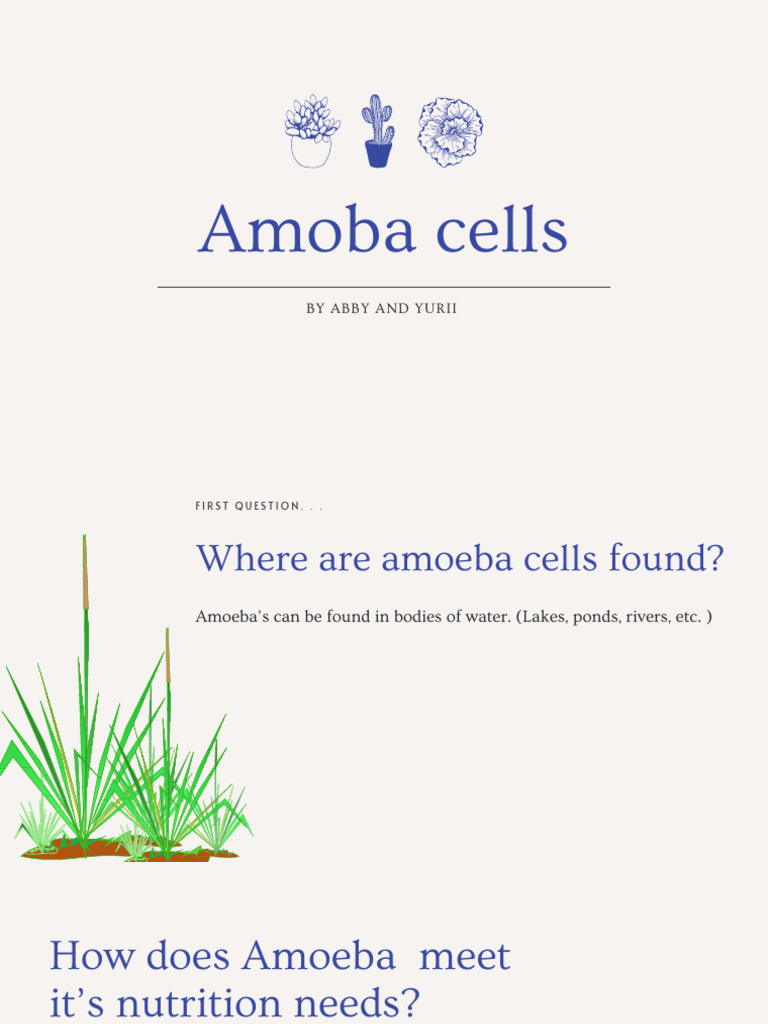 Amoeba Cells: Habitat, Nutrition, and Survival | PDF | Organisms | Cell ...