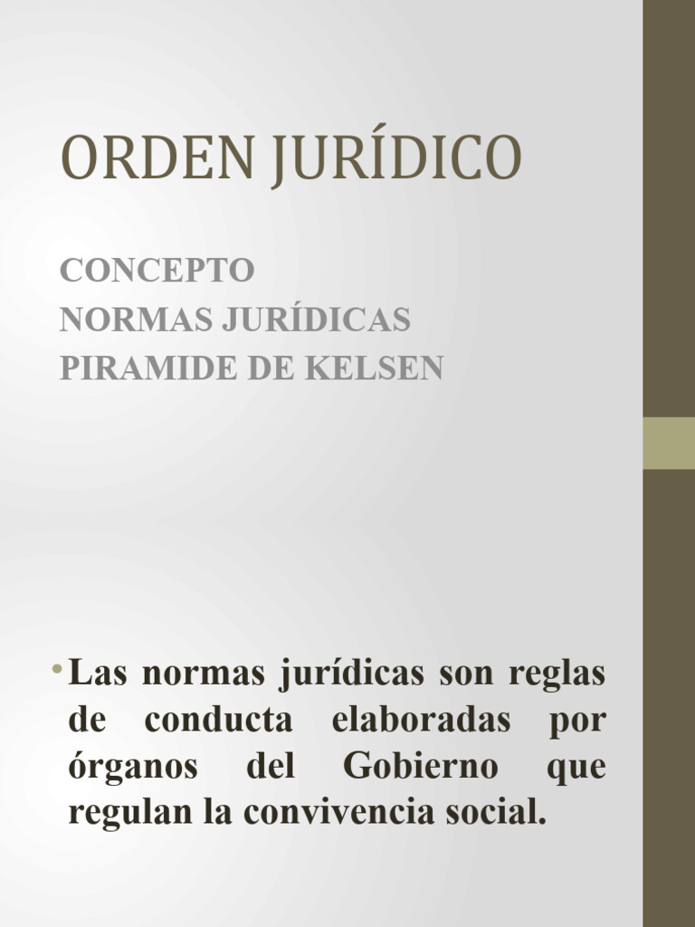 Orden Jurã Dico | PDF | Derecho