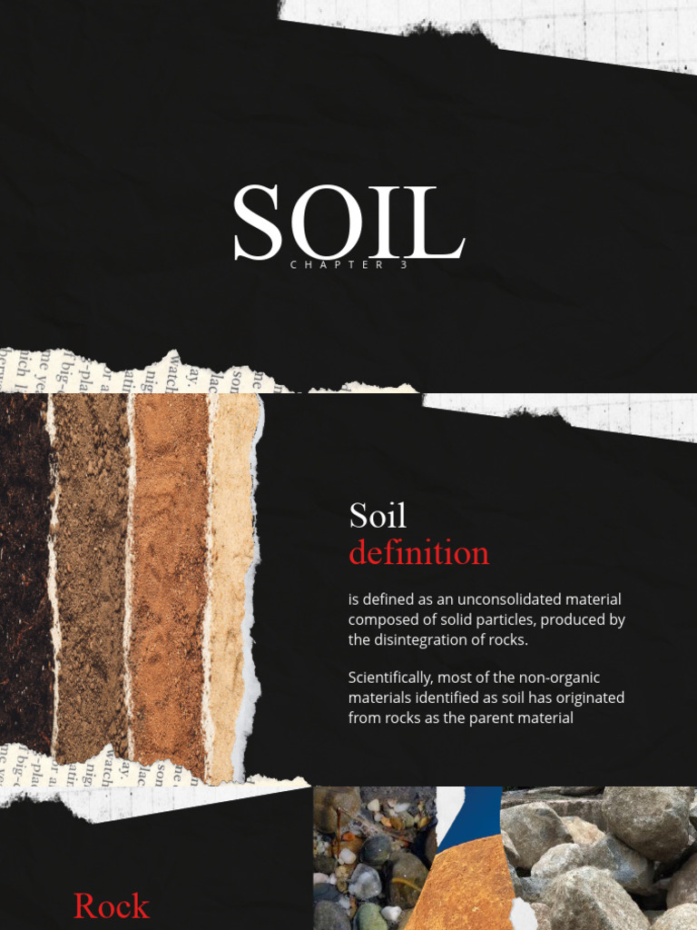 The Soils | PDF | Rock (Geology) | Soil