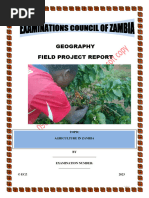 Geography Field Project Guidelines | PDF | Methodology | Geography