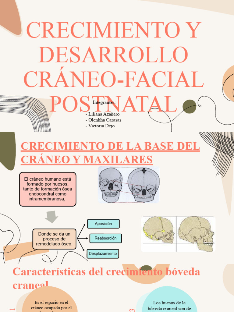 Crecimiento Craneofacial Postnatal | PDF | Cráneo | Hueso