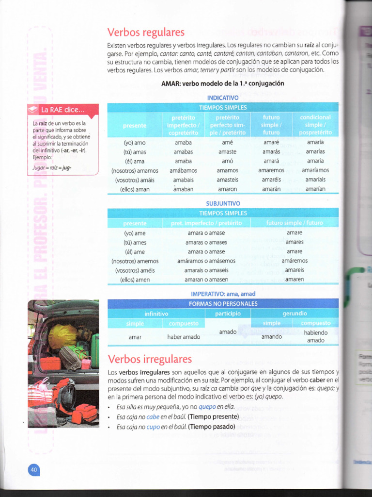 Conjugación de Verbos Regulares e Irregulares | PDF | Verbo | Semántica