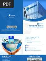 WT069C Datasheet | PDF