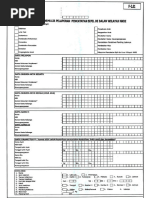 Form Visa Dan Perdim 11 | PDF