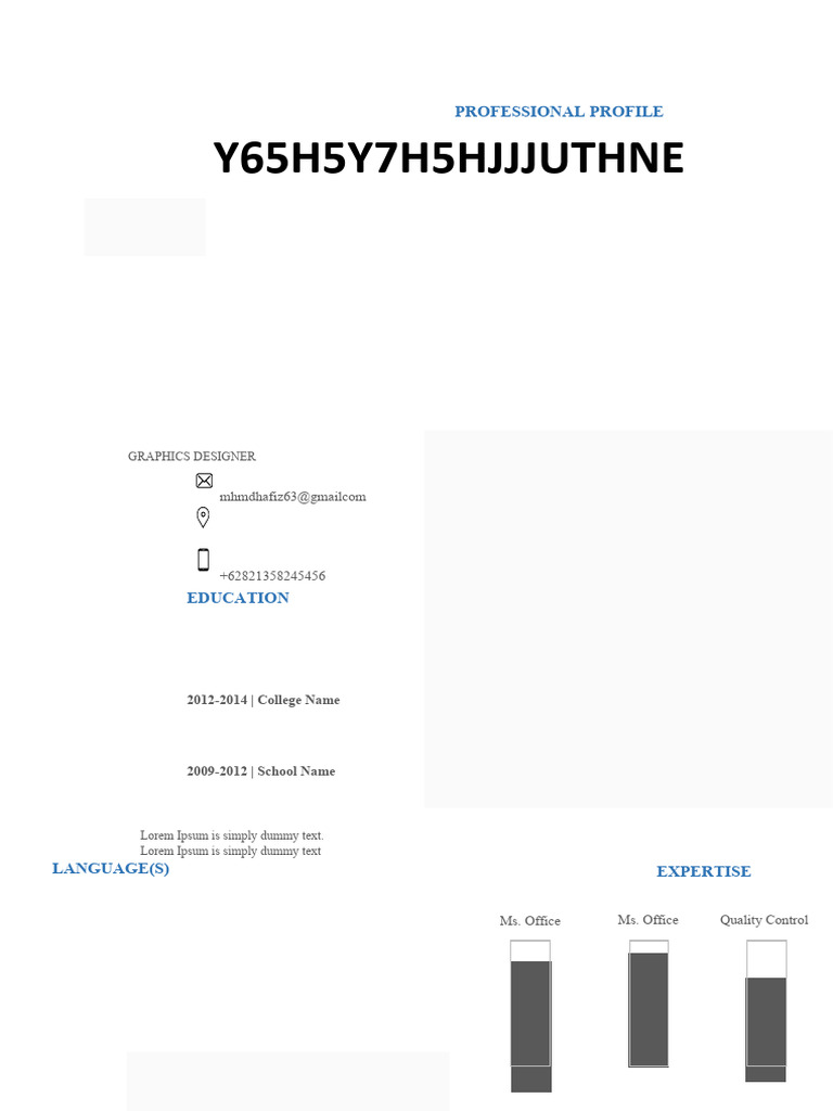 Graphic Design Professional Profile | PDF