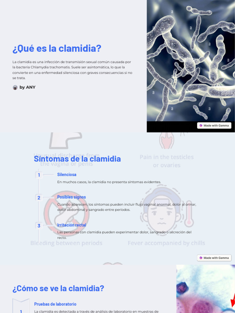 Clamidia: Síntomas, Transmisión y Tratamiento | PDF | Infección ...