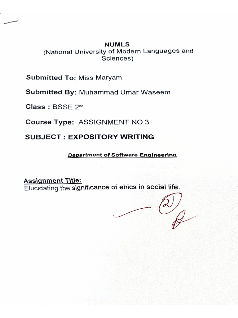 English Assignment 3 | PDF