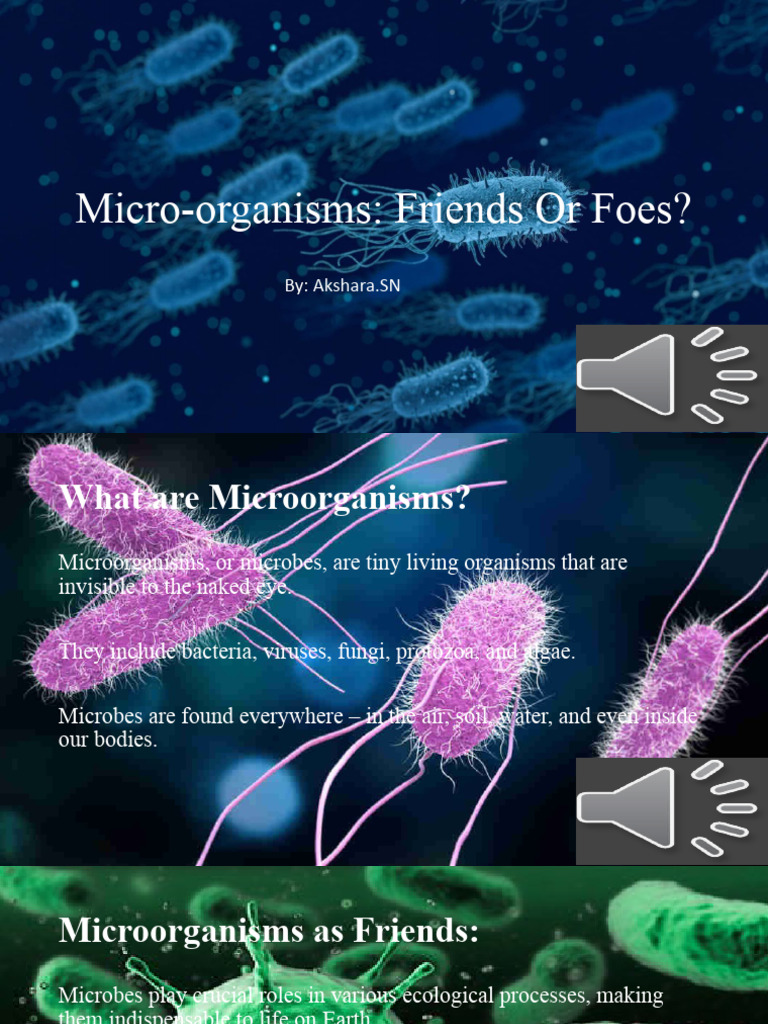 Micro Organisms | PDF