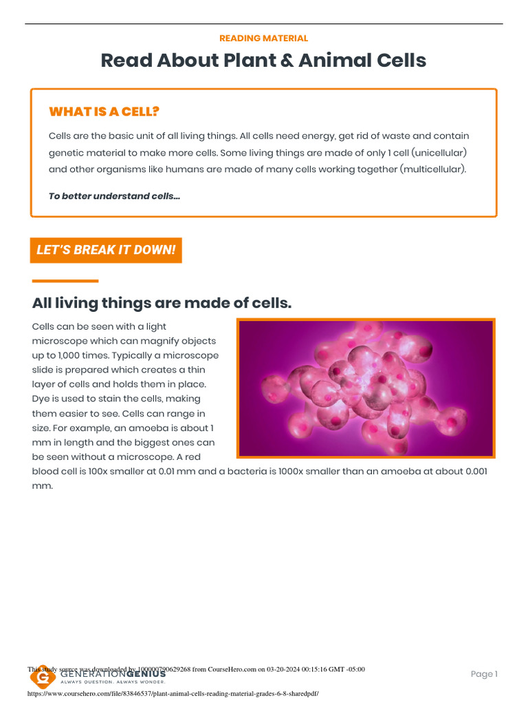 Plant Animal Cells Reading Material Grades 6 8 Shared PDF | PDF | Cell ...