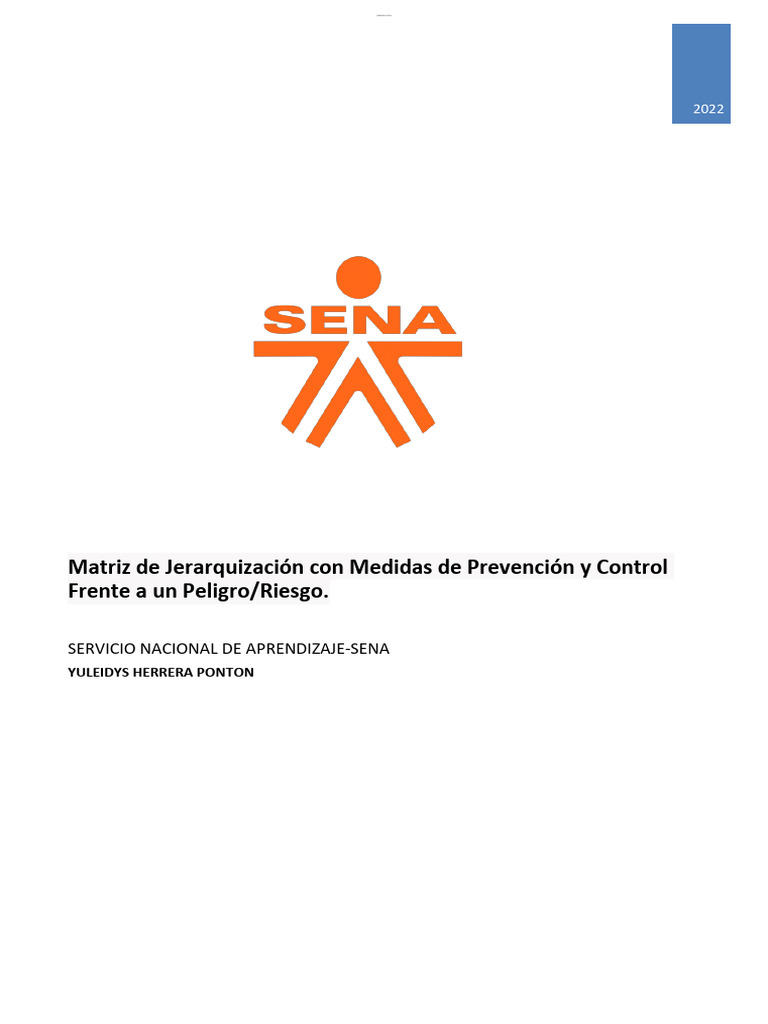 EV3Matriz de Jerarquización-YULEIDYS H | PDF