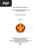 Anatomi Fungsional Organ Reproduksi Sapi Betina | PDF