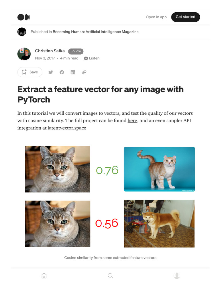 Extract a feature vector for any image with PyTorch _ by Christian ... Extract a feature vector for any image with PyTorch _ by Christian ...