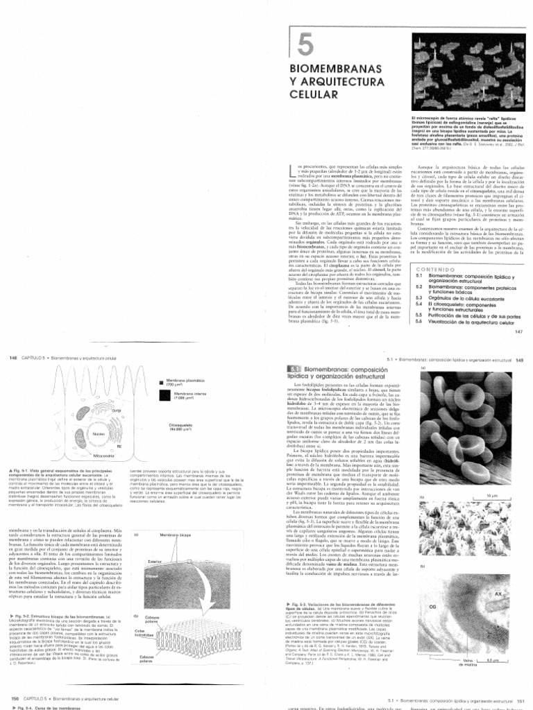 Biología - Lodish - Cap. 5 | PDF