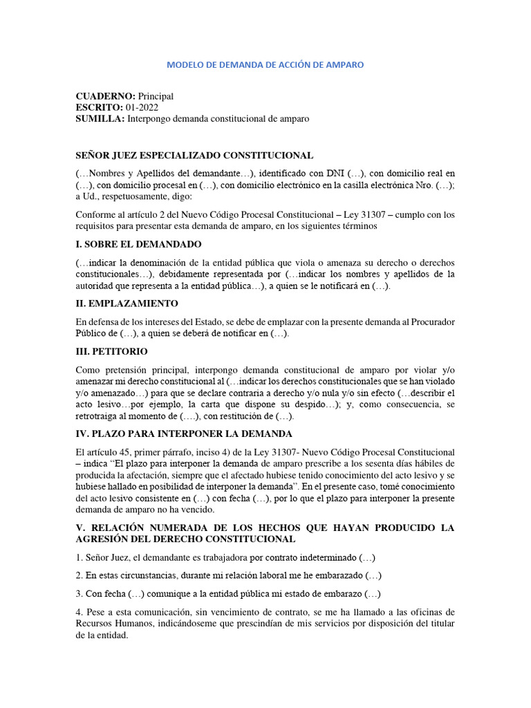 Modelo De Demanda De Accion De Amparo Pdf Demanda Judicial