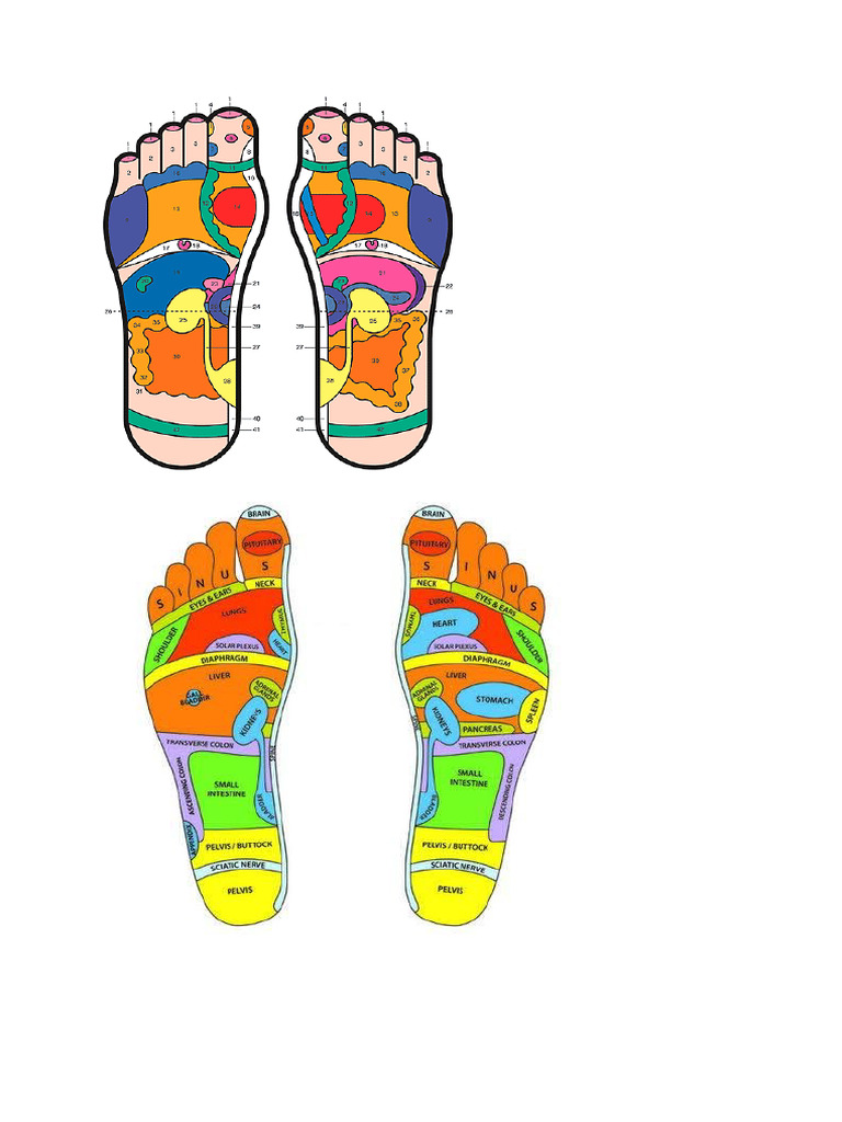 Logo Kaki | PDF
