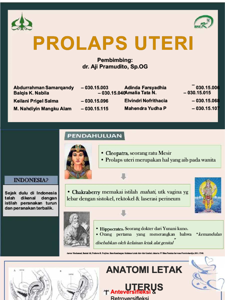 PDF Prolaps Uteri 2 Compress | PDF