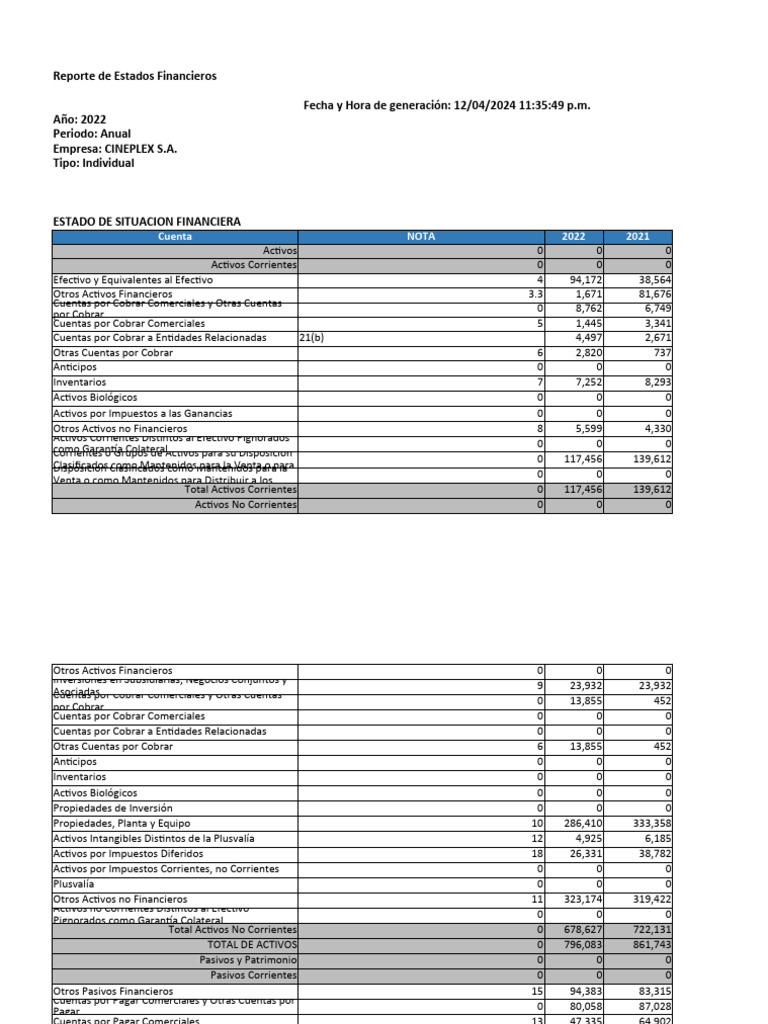 Reporte Detalle Informacion Financiero | PDF | Compartir (Finanzas) | Opción (Finanzas)