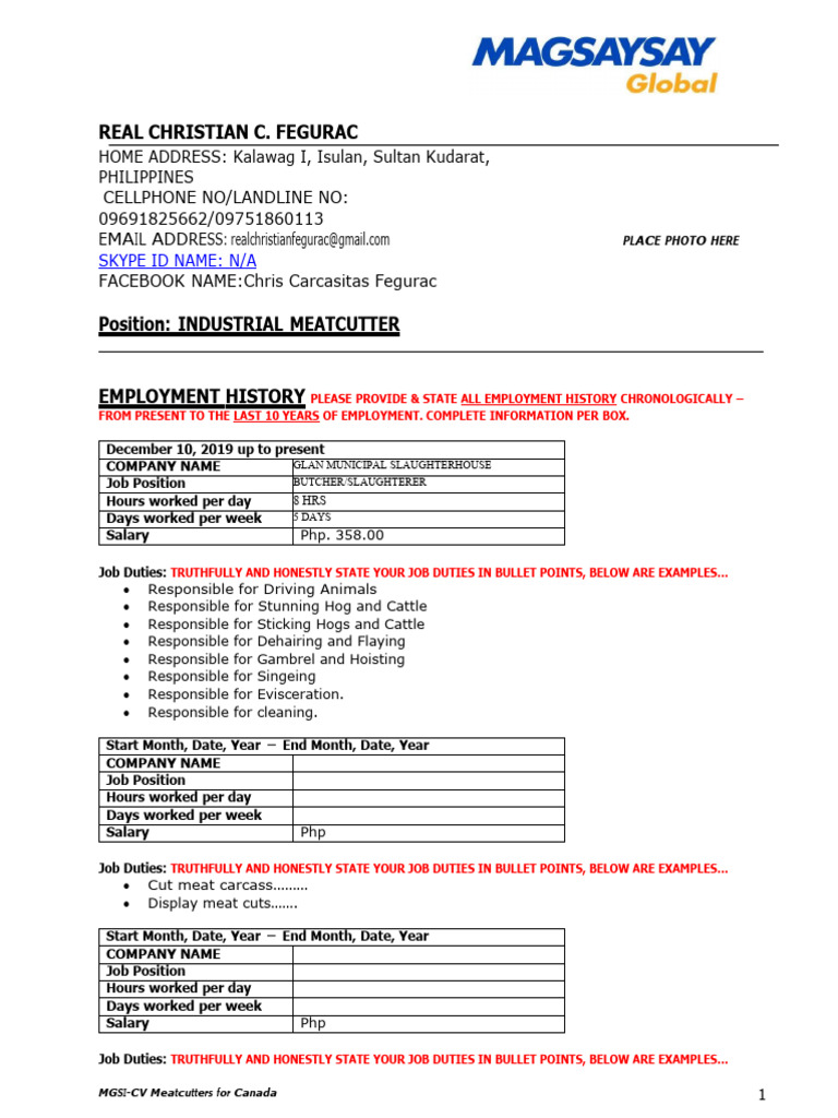 MGSI-CV Sample Format | PDF | Slaughterhouse | Résumé