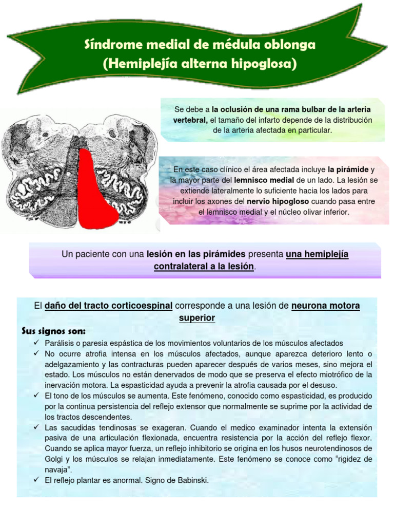 CASO 7 Síndrome Medial de Médula Oblonga (Hemiplejía Alterna Hipoglosa ...