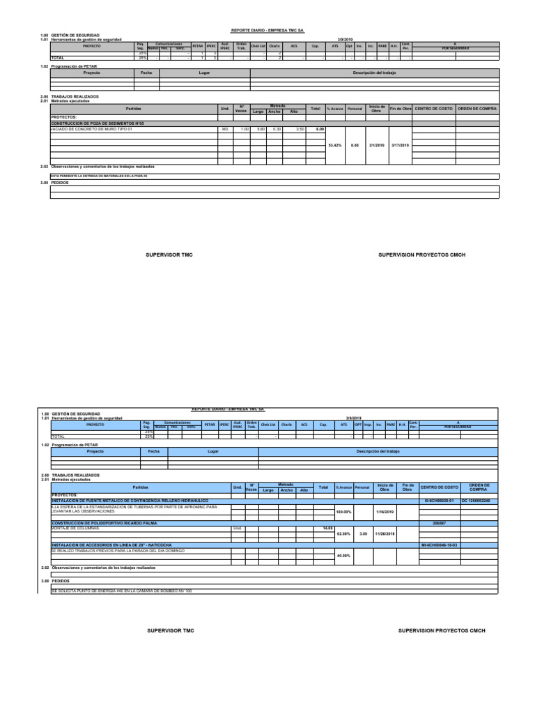 Reporte Diario De Proyectos Tmc Sa Pdf Plomería Tecnologías De Gas