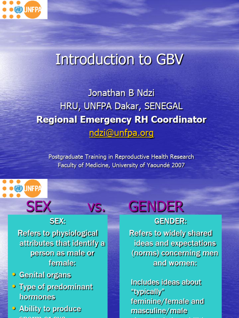 GBV Ndzi Yaounde 2007 | PDF | Domestic Violence | Violence Against Women