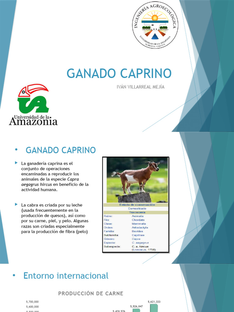 Producción y Cría de Ganado Caprino | PDF | Cabra | Pasto