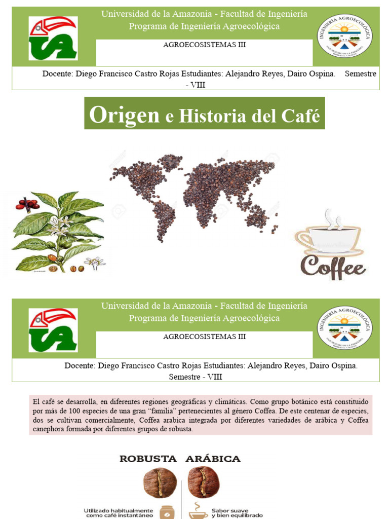 Historia y Origen Del Cafe | Descargar gratis PDF | café | Agricultura
