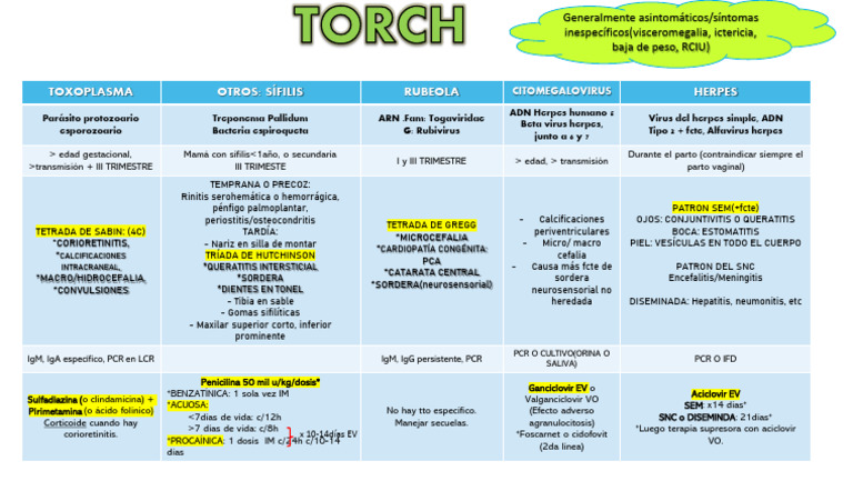 Torch | PDF | Medicina CLINICA | Enfermedades y trastornos