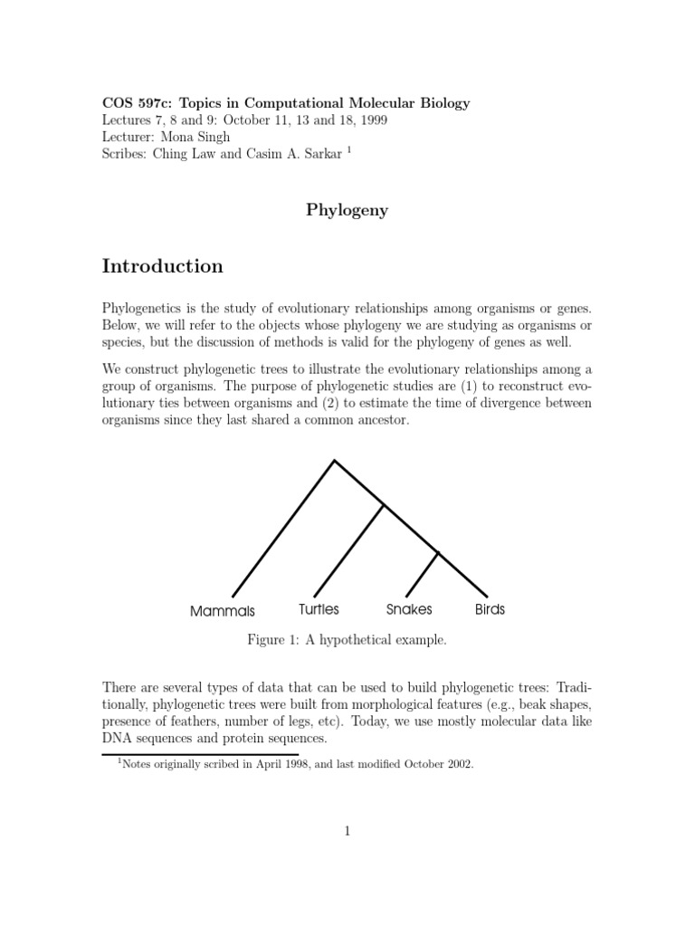 Phylogeny Pdf Phylogenetic Tree Phylogenetics 0442