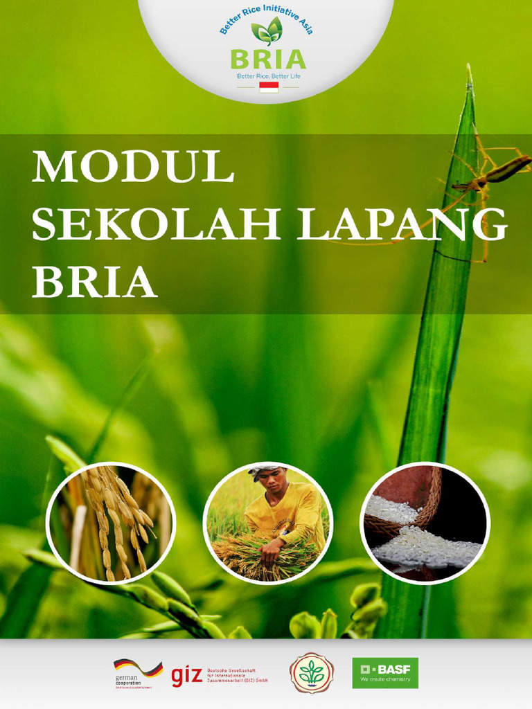 Sekolah Lapang BRIA GIZ | PDF