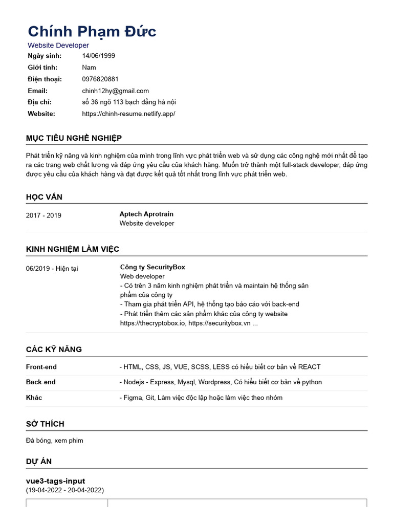 Website Developer Chinh Pham Duc | PDF