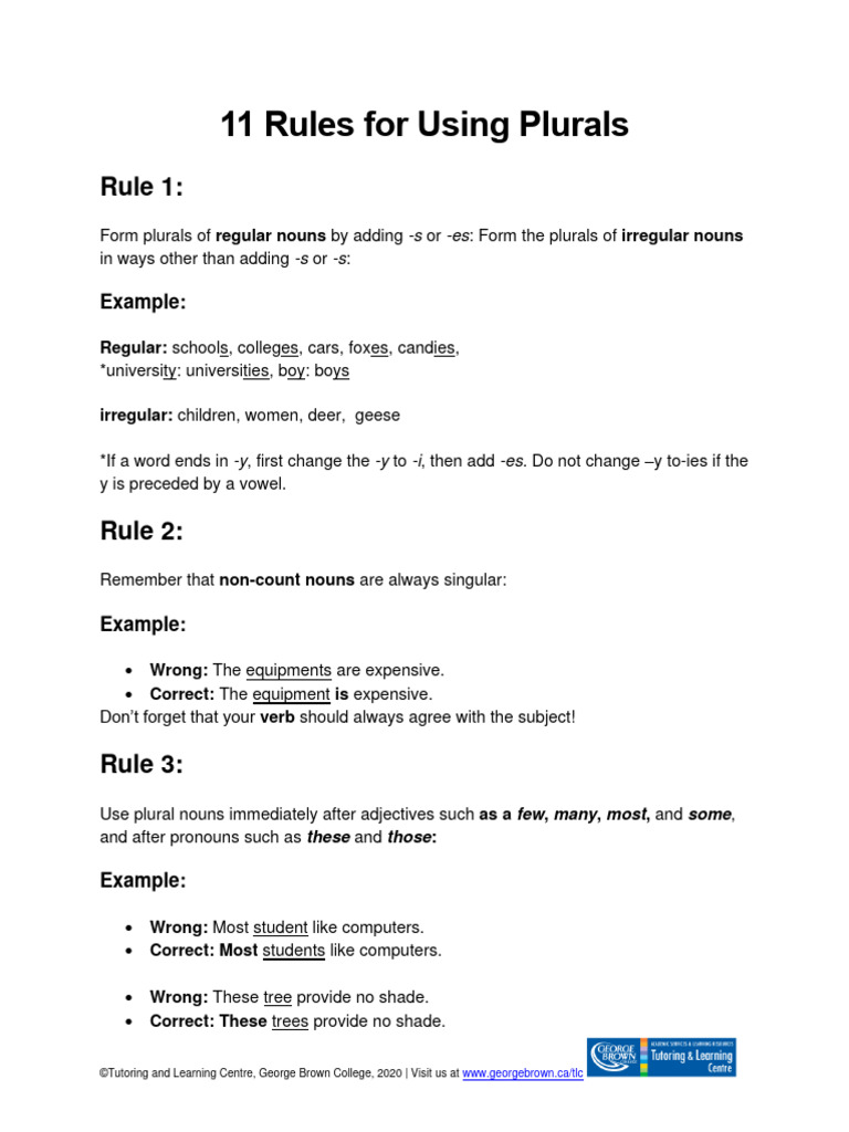 Noun Pluralization Rules Guide | PDF | Noun | Plural