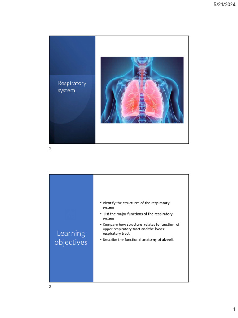 Respiratory System | Download Free PDF | Respiratory Tract | Lung